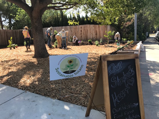 Thank You To Sustainable Solano and the Volunteers Who Helped Make ...