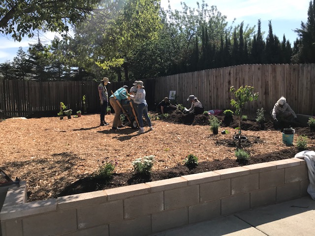 Thank You To Sustainable Solano and the Volunteers Who Helped Make ...